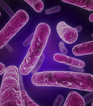 Fighting back against catastrophic superbugs that threaten us all ...