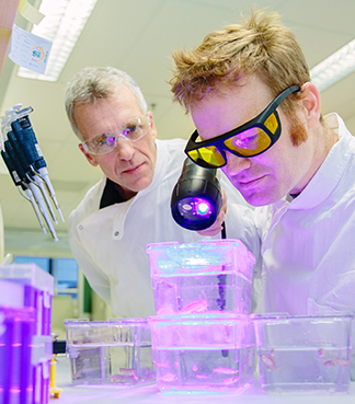 Supporting vital research at IMB - Institute for Molecular Bioscience ...