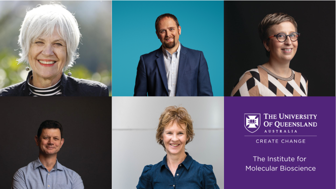 Accelerating Action in Research - Institute for Molecular Bioscience ...