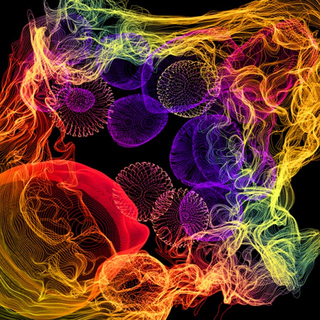 See the stunning images in this year's IMB Science as Art Awards ...