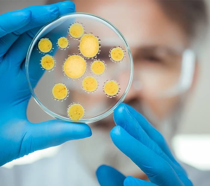 Microbes Australia: Living Library to Save Lives - Institute for ...