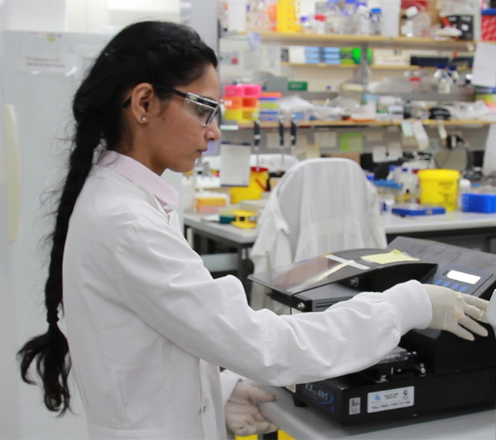 New drug target discovered for chronic liver disease - Institute for ...