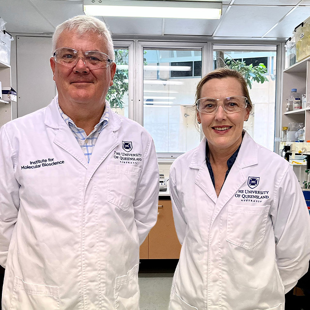 Funding injection for Strep A vaccine research - Institute for ...