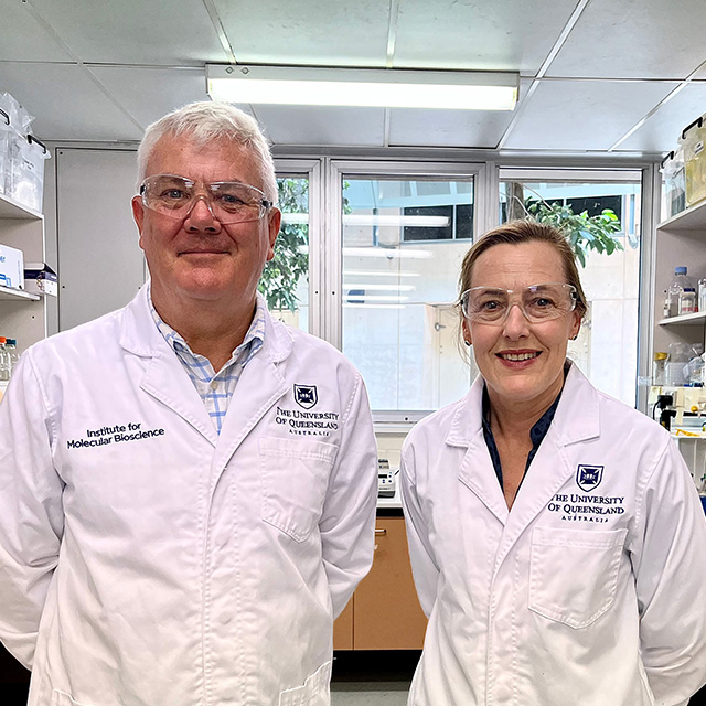 Funding injection for Strep A vaccine research - Institute for ...