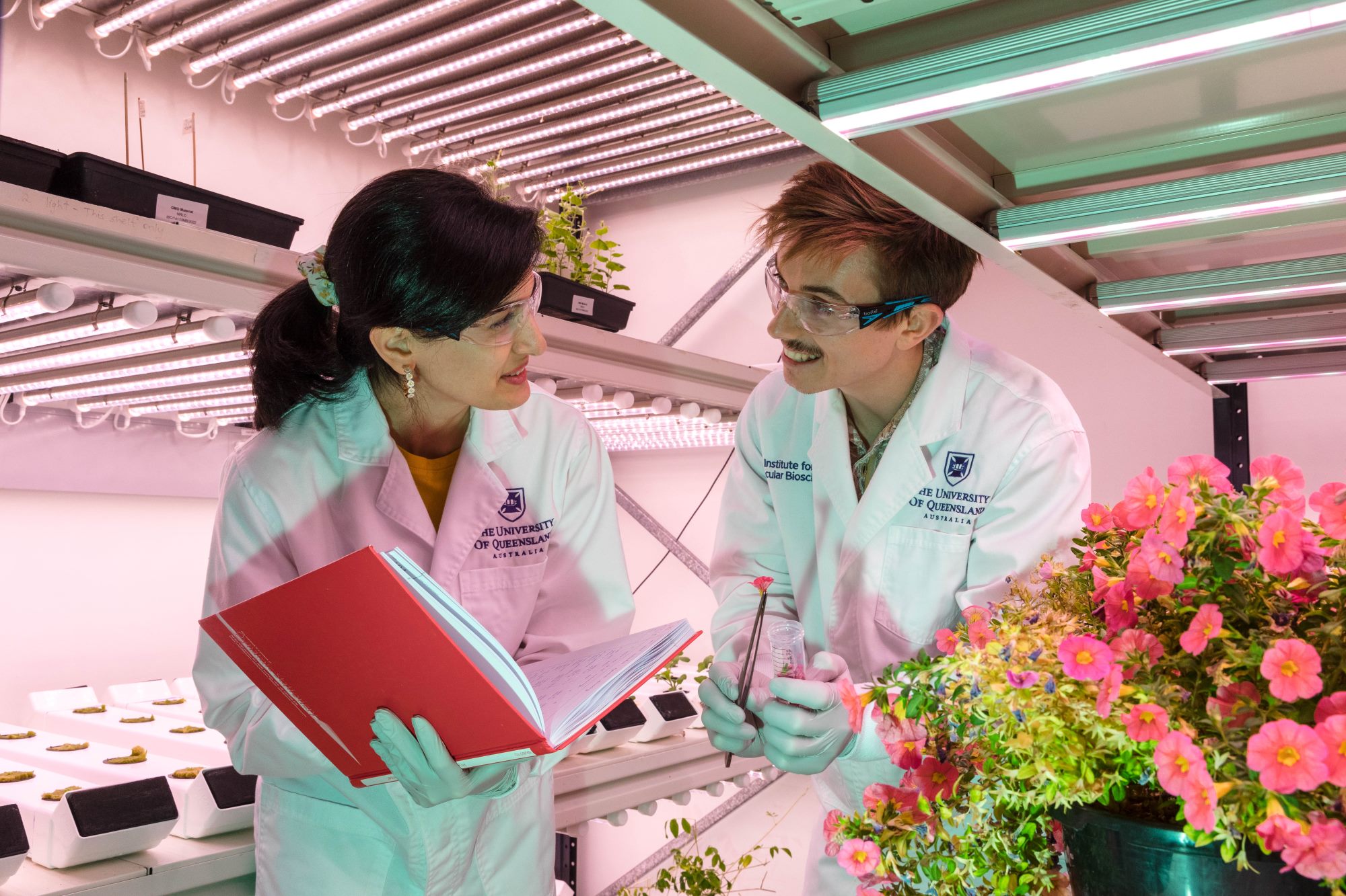 Talks and Tours - Institute for Molecular Bioscience - University of ...