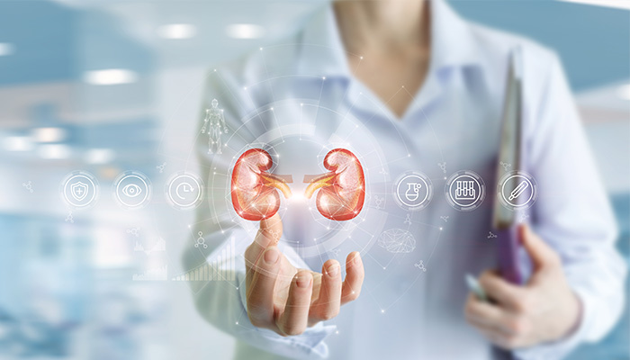 Kidney disease patients needed for national trial - Institute for ...