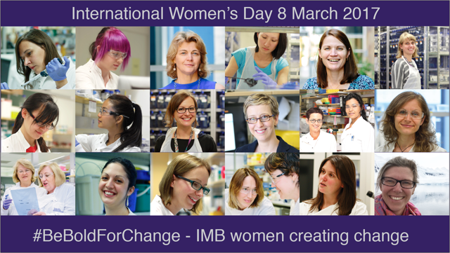 Diversity and inclusion at IMB - Institute for Molecular Bioscience ...